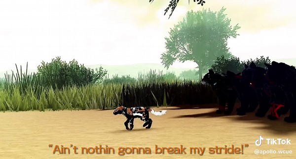 “Life is like riding a bicycle, to keep your balance, you must keep moving.” -Albert Einstein. ( Tags : : #roblox #fyp #fypp #robloxgame #animalgame #edit #robloxedit #alight #motion #alightmotion #warrior #cats #wcue #warriorcatsultimateedition #warriorcatsroblox #warriorcats #warriorcatsultimate #fyp #foryoupage #fyppppppppppppppppppppppppppppppppppp #foryourpage #apollowcue)