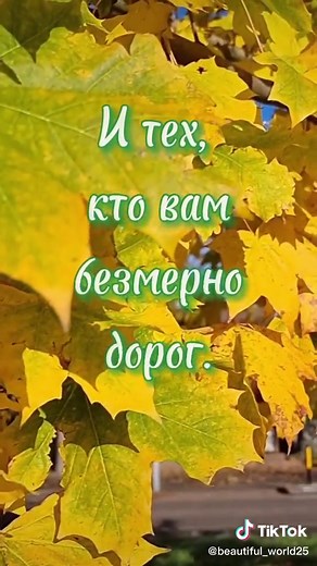 Captivating Autumn Leaves Against a Blue Sky