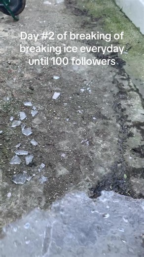 Daily Ice Drops Challenge for Follower Milestone