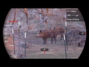 AGM Spectrum 4K LRF Daytime Footage