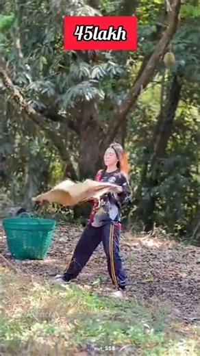 Catching Durian Falling From the Tree — Most Dangerous Fruit! 🪂🥭