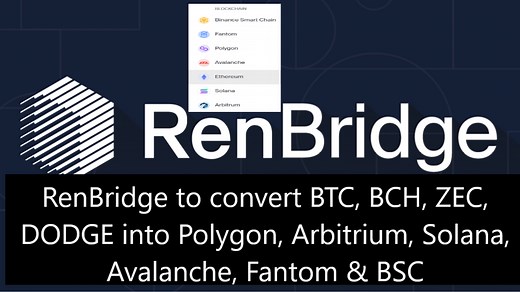 How to Use RenBridge to Convert BTC, BCH, ZEC, DODGE, FIL, LUNA Tokens into Polygon, Arbitrium, Solana, Avalanche, Fantom, Binance Smart Chain Networks Without Paying Outrageous Withdrawal Fees and Conversion Fees
