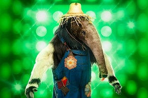 Who is the Anteater? 'The Masked Singer' Prediction & Clues!
