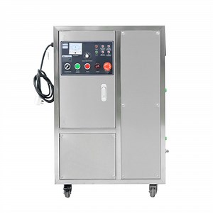 [Hot Item] Flygoo Oxygen Source Industrial Ozone Generator Price