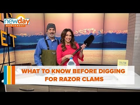 What to know before digging for razor clams - New Day NW