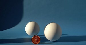 Video by Marina Leonova on Pexels