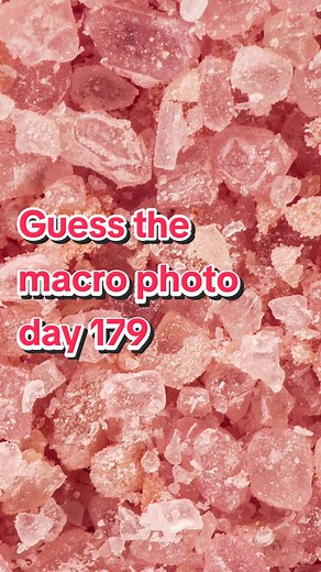 Can you guess this macro photo? #macrophotography #photography