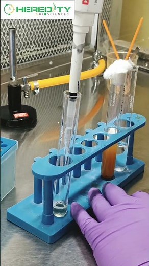 Nitrite Test for Urine