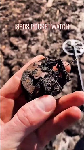 Finds From Today | Metal Detecting Treasure Discovery