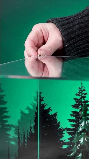 Limited Edition Display Case for the LEGO Ideas: Twilight Cullen House set