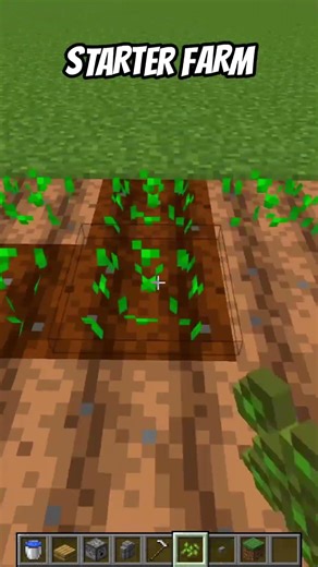 Easy Minecraft Food Farm
