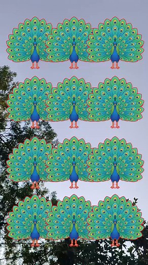 Peacock Grace Frame #peacock | Divine Blessings