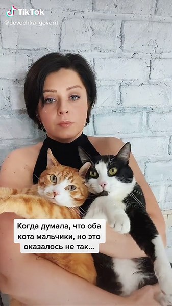 Comforting Cats: A Heartwarming Interaction Scene