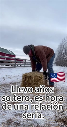 Single Men Over 40: Embracing Life Alone in the USA