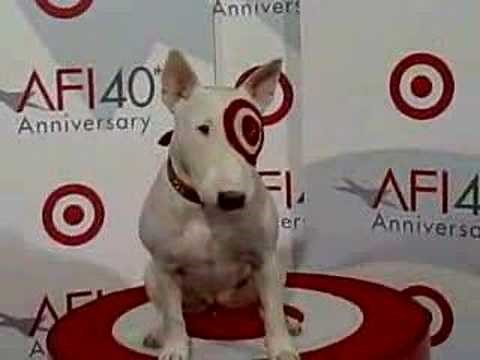 BullsEye The Target Dog At The AFI 40th Anniversary
