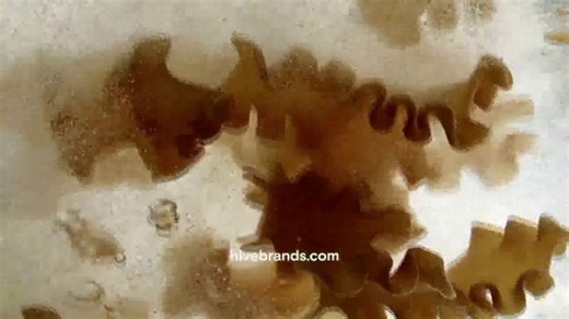 Hive Brands TV Spot, 'Holidays: Together We Can Create a Better World: Save 25%'