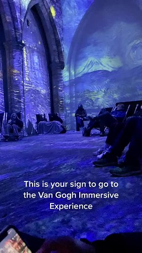 vangogh.experience on TikTok