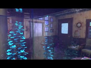 Finding Nemo - The Filter Introduction