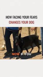 Fear and nerves transfer straight down the leash. When Mary found her calm, Tassie did too. What energy do you pass on to your dog? El miedo y los nervios viajan directo por la correa. Cuando Mary encontró su calma, Tassie también lo hizo. ¿Qué energía le transmites tú a tu perro? 🐾 | Cesar Millan