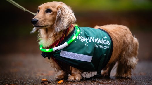 New dog walking service set up to help women feel safe in the dark