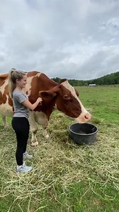 It’s #FarmAnimalAwarenessWeek and we wanted to introduce you to Tucker. If it weren’t for the kindness of Tucker’s human rescuers, he would have been killed at a few months old on the small dairy farm where he was born. Tucker has touched the hearts of thousands of people over the years: we can't imagine the sanctuary without him, and yet millions just like him will meet a tragic fate this year in the name of beef or dairy. With all the exciting advancements in plant-based foods, there has never