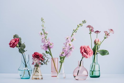 6 Ways to Make Your Cut Flowers Last Longer