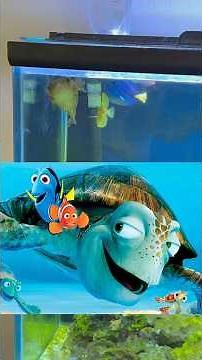 How I fixed my Finding Nemo Tank