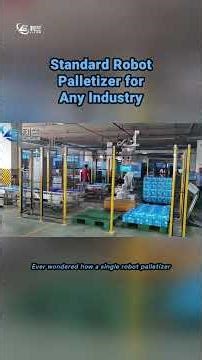 Standard Robot Palletizer Line: Automate Packaging with Perfect Precision