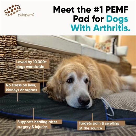 Bring the best of veterinary care into your home with Petspemf Pad. ⭐⭐⭐⭐⭐ Benefits: ✅ FDA-approved & non-invasive 🛡️ Boosts anti-inflammatory response 🦴 Improves mobility and eases stiffness Suitable for dogs of all ages and sizes, it's the perfect addition to your pet's daily routine for a happier, healthier life. ❤️ Choose size and Order here 👉https://bit.ly/3s3FeGQ | Petspemf