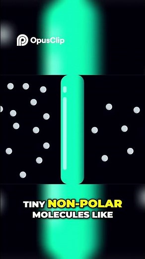 The Simplest Way Molecules Cross Membranes #SimpleDiffusion #CellBiology