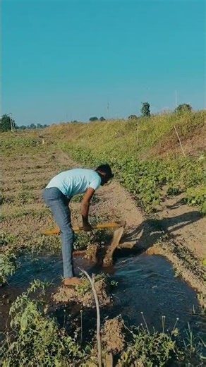 😂 Funny / Entertainment (e.g., “Noob vs Pro in Mini Block”)