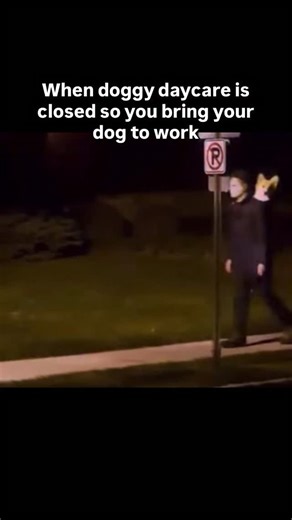 6.5K views · 6.8K reactions | Bring your pup to work day!...