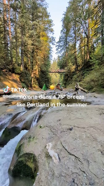 Life hack: move where your weekend plans write themselves ✍️🌲 #portland #oregon #nature #hiking #summer #fyp