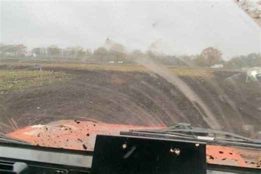 Elephant off road racing on Reels