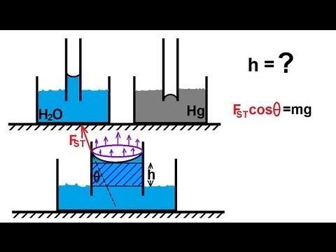 Physics 33.1 Surface Tension (5 of 12): What Causes Capillary Action?