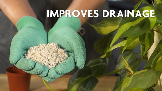 Miracle-Gro Perlite, 8 qt., Improves Drainage and Aeration in Potting Mixes