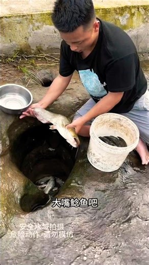 Amazing Fish Catching in rock pool near riverside 🎣 Catch Carpfish & Catfish🎣 #fishcatching #fishing
