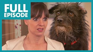 161K views · 1.7K reactions | On this episode we meet Brittney who...