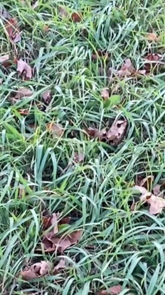 Jsaj_ (@jsaj_)’s videos with original sound - Motivation Minute