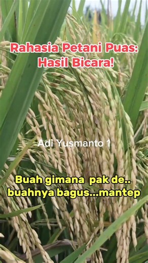 "Bener Kata Pak Tani: Hasil Gak Pernah Bohong!"
