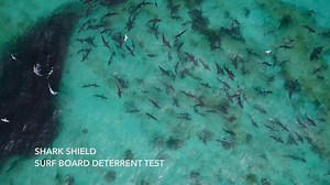 Incredible footage from recent testing of our FREEDOM Surf by Terra Australis. If a picture says a thousand words, then a video must say a million! Production by Andre Rerekura Creative | Ocean Guardian - Shark Shield Technology