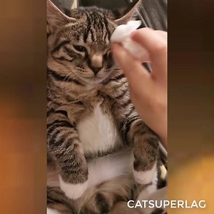 Clean meow makeup 😂😂😂 | Cat Super LAG