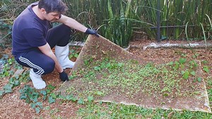 5.9K views · 97 reactions | GRASS INFESTED CARPET -ASMR CARPET CLEANING #rug #satisfyingcleaning #asmr #oddlysatisfying | Magnus Rug Cleaning | Facebook