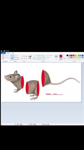 Create Your Own Custom Name Logo Easily