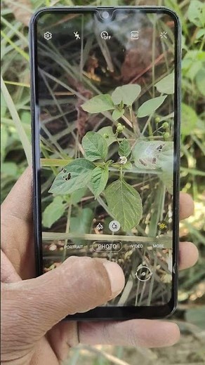 Samsung Galaxy A50 Camera Test #ytshorts #youtubeshorts #viral