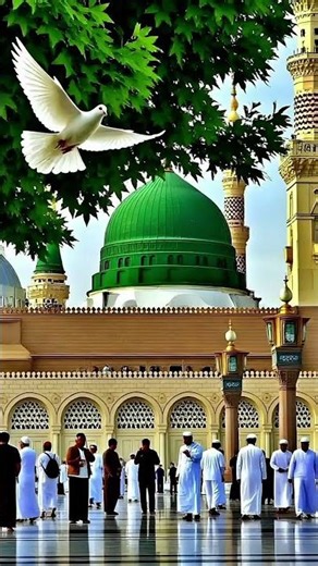 Jab dur se hai itna hasi gumbade khazra❣️💕