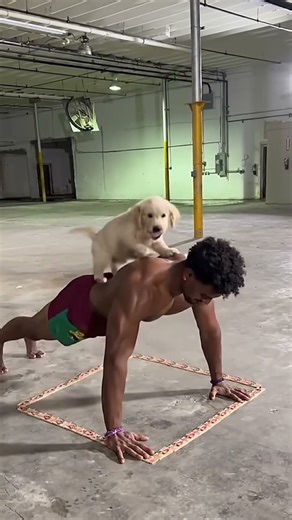 Mousetrap Backflip Challenge#ishowsHome3🙀#foryou #vairalvideo #subscribe #highlights #trending 🙀