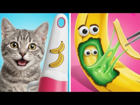 KITTEN SAVED A BANANA 🍌🐱 | Cute Pet Moments + Cool Gadgets & DIY Crafts by 123GO!