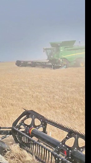 57K views · 871 reactions | I was Finally able to get a video with two of the three combines in the field. DJ Molles Author, this is how we cut our crops in Montana. Swing up, and you can run it for me!#farmers #farmfoodtour #reelsinstagram #farm #amputee #farmlife #johndeere #technology #farming #mylife | 1HandnFarming | Facebook