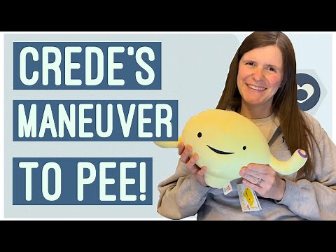 What is the Crede’s Maneuver aka bladder CPR? Pelvic PT explains!